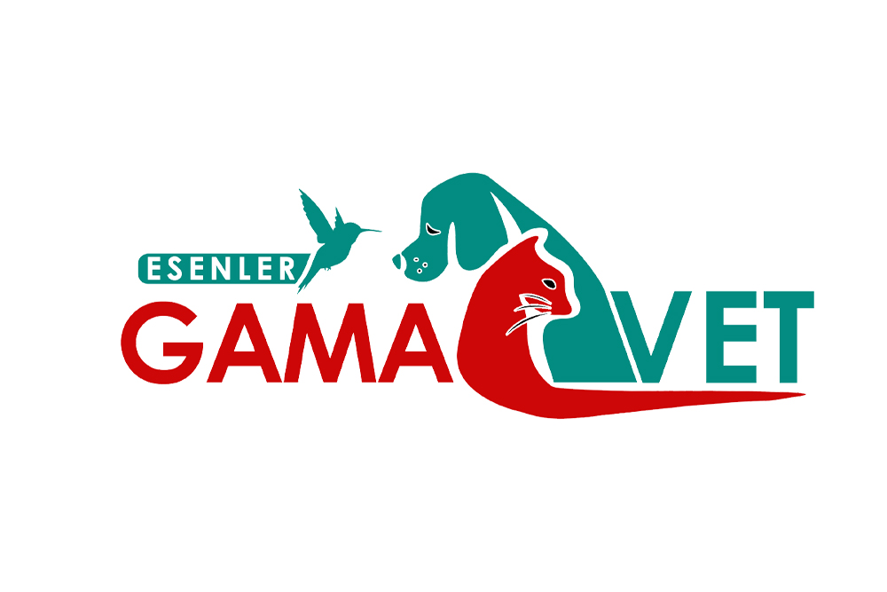 Esenler Gamavet Veteriner Muayenehanesi / Hakkında / Amacımız